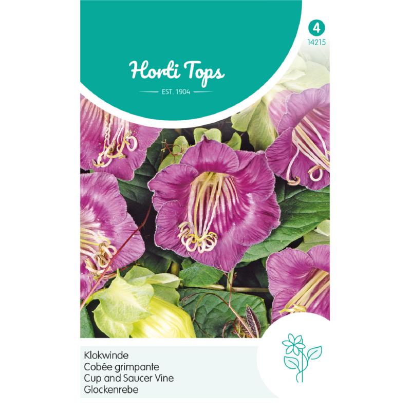 HT Cup and Saucer Vine G-1 – KBSeeds Store