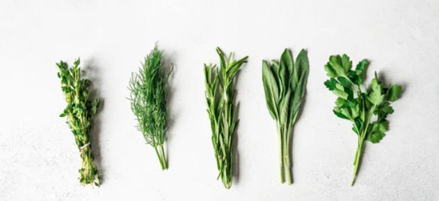 KB Seeds Pakistan | Buy Vegetable, Flower & Herb Seeds Online – KBSeeds ...