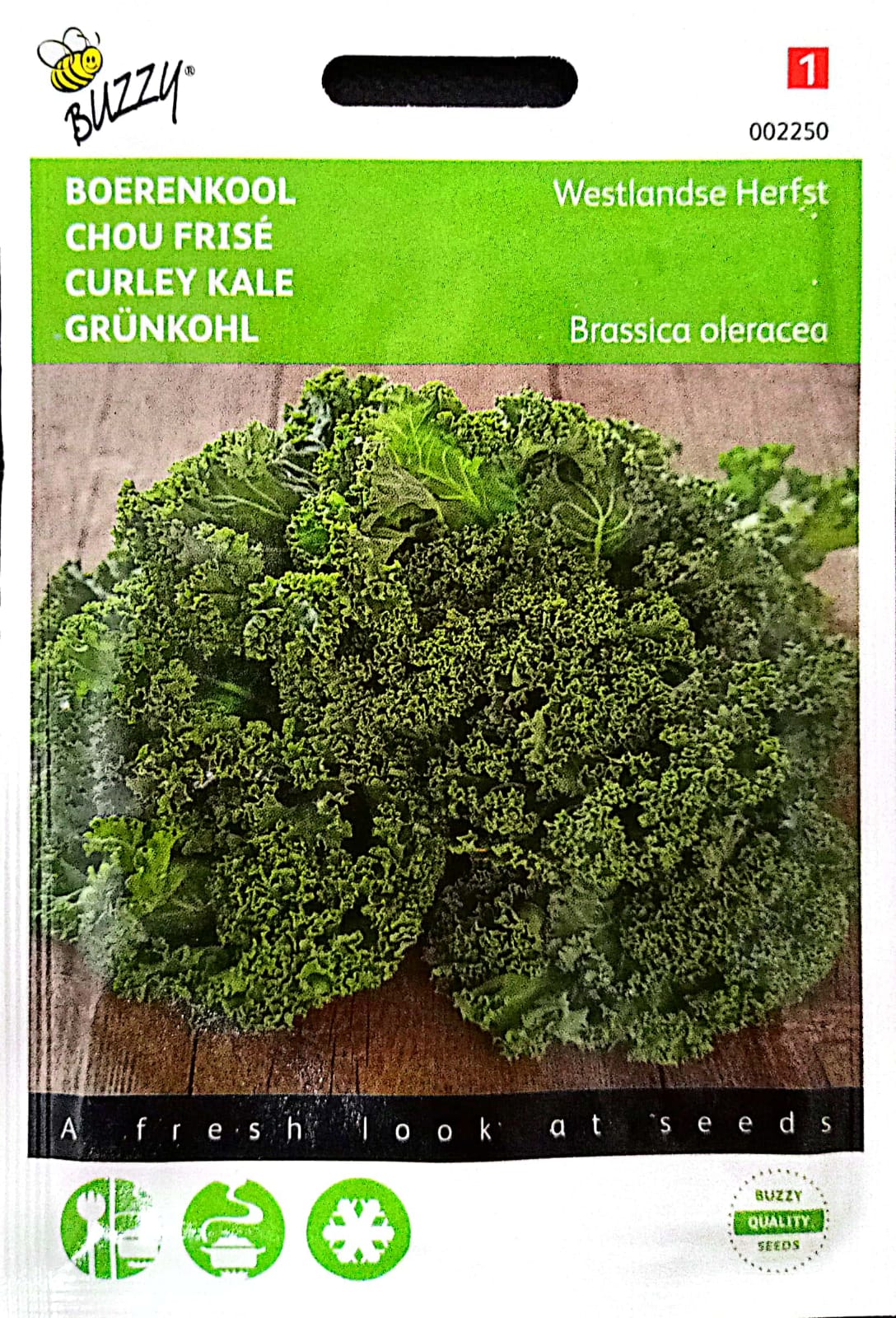 Buzzy Curley Kale Westland Autumn 002250 – KBSeeds Store