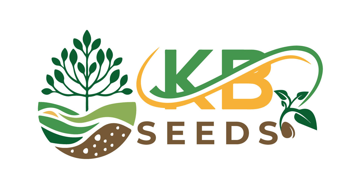 KB Seeds – KBSeeds Store