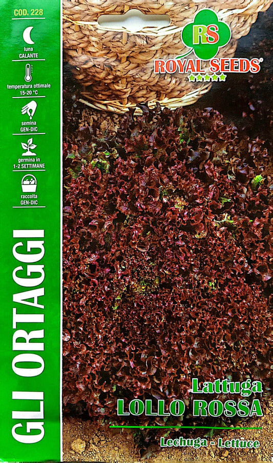 KB Seeds – KBSeeds Store