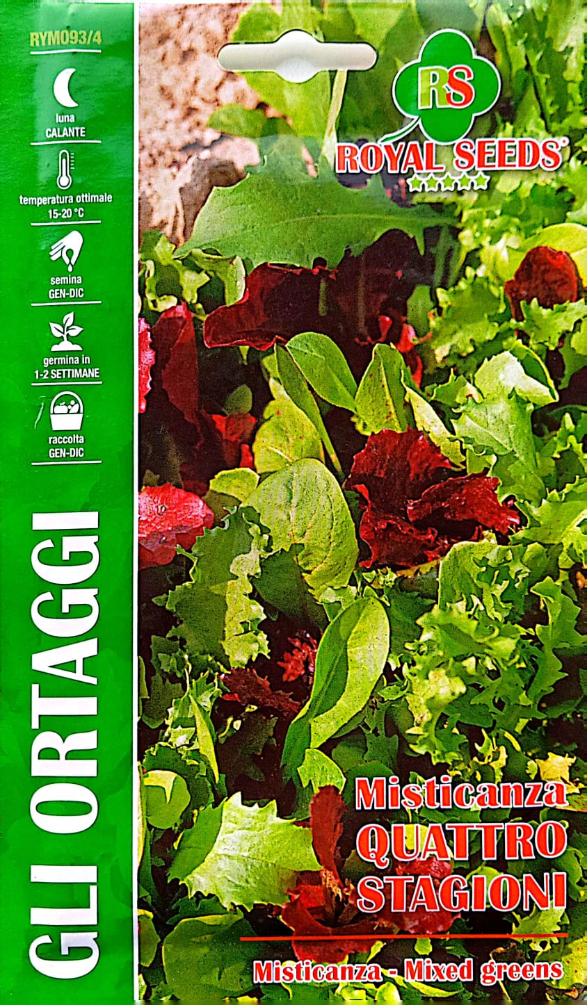 Royal Lettuce Quattro Stagioni 93/4 – KBSeeds Store