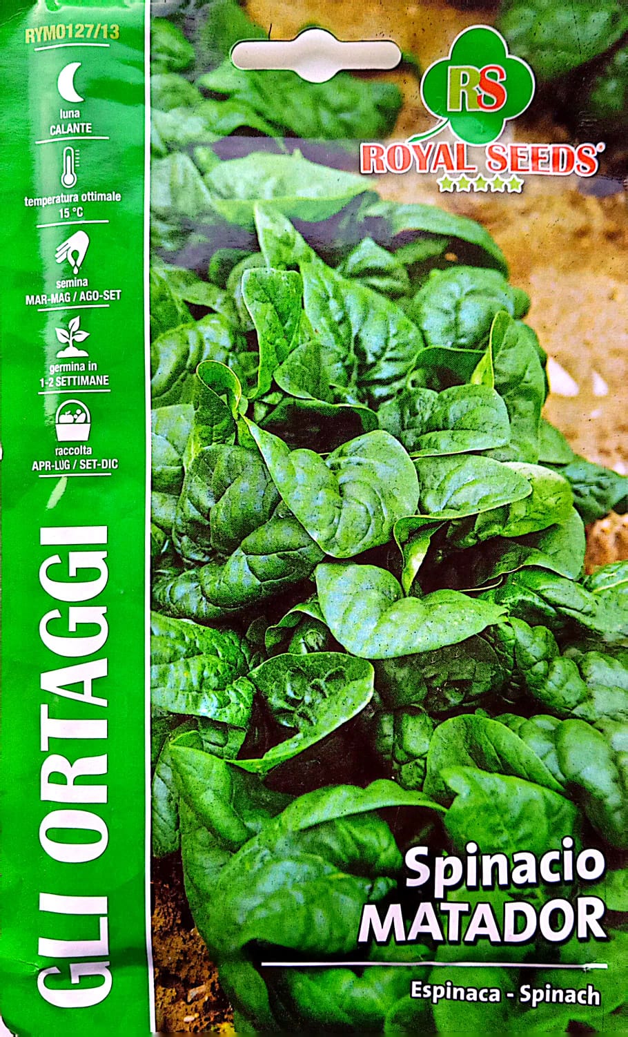 Royal Spinach Matador 127/13 – KBSeeds Store