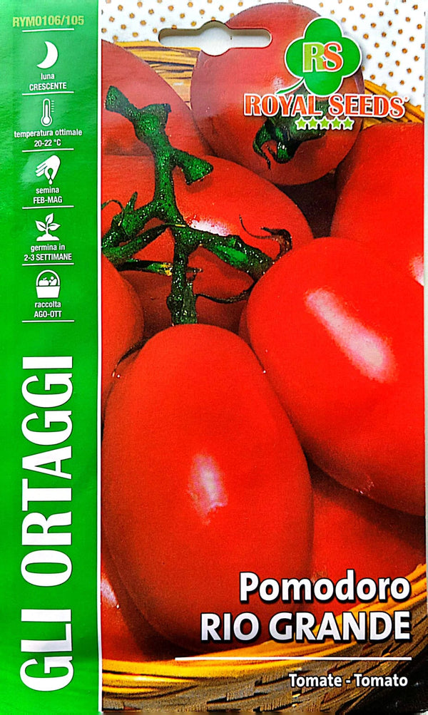 Royal Tomato Rio Grande 106/105 – KBSeeds Store