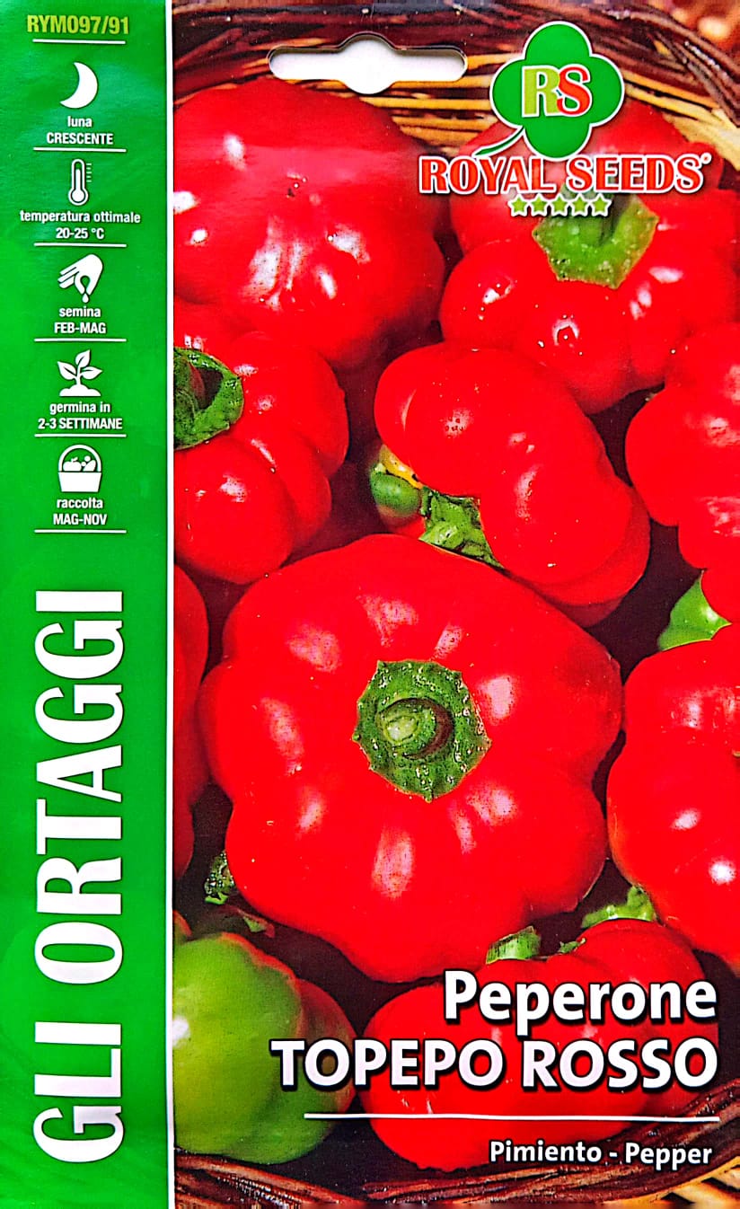 Royal Pepper 97/91 – KBSeeds Store