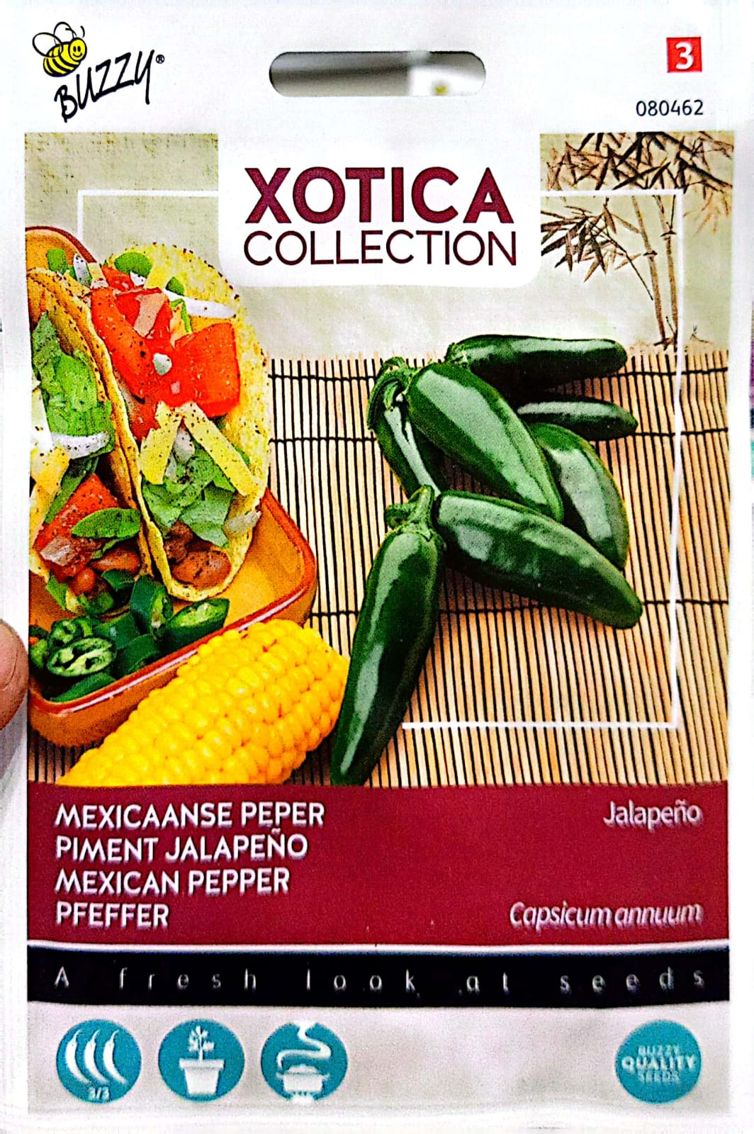 KB Seeds – KBSeeds Store